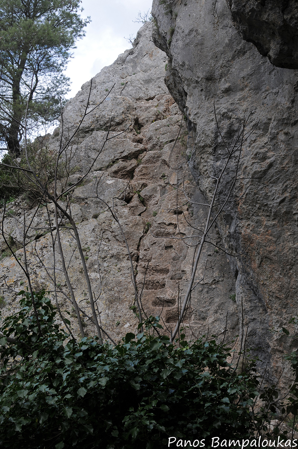 Στο Άρμα της Πάρνηθας – MountainsGreece